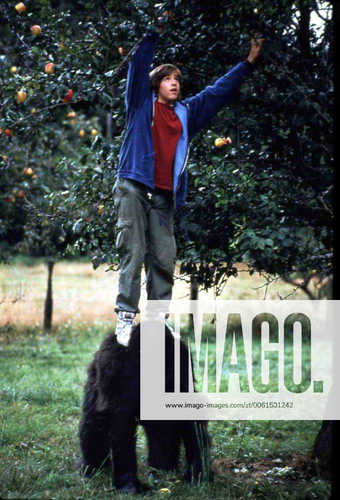 Wil Horneff Da Gorilla Katie die Zeichensprache beherrscht, kann Rick ...