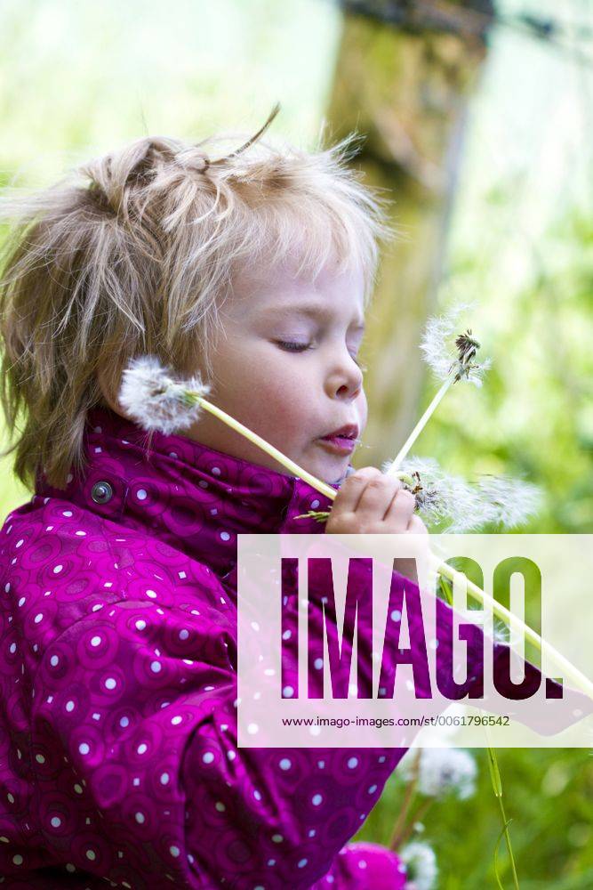 Mädchen, mit Pusteblumen, Kiel, Deutschland