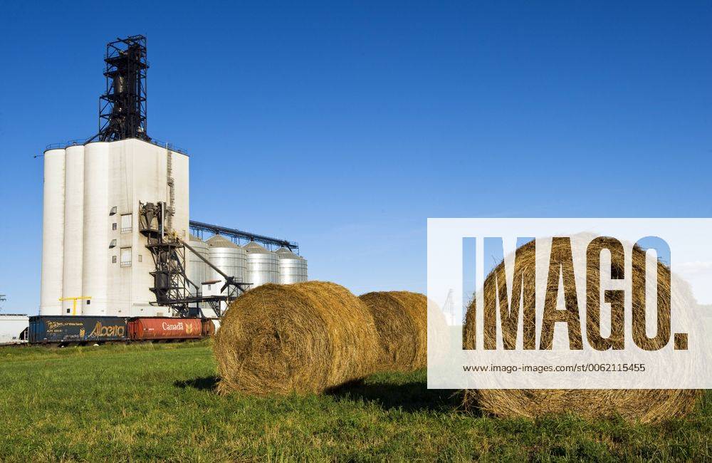 Alfalfa rolls with rail hopper cars at an inland grain terminal ...