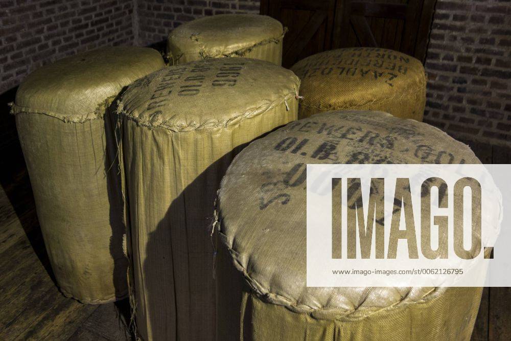 Bales with harvested female hops flowers in the Hop Museum about the ...