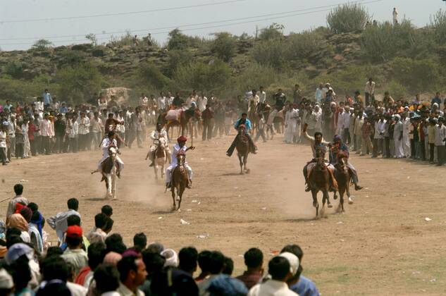 Camel race in Tarnetar fair, Gujarat