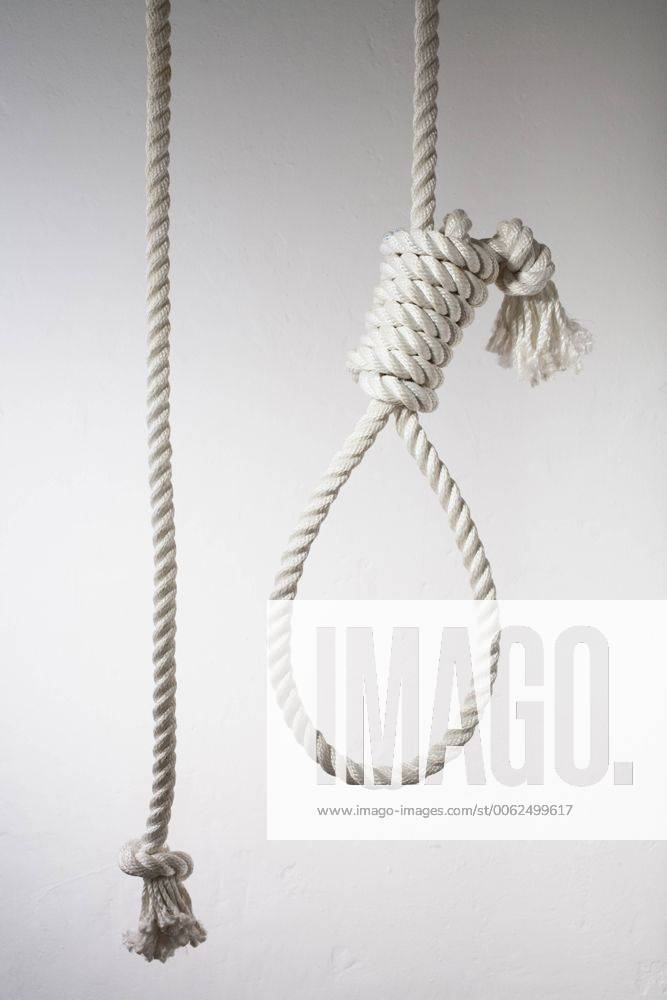 Hangman s noose, close up