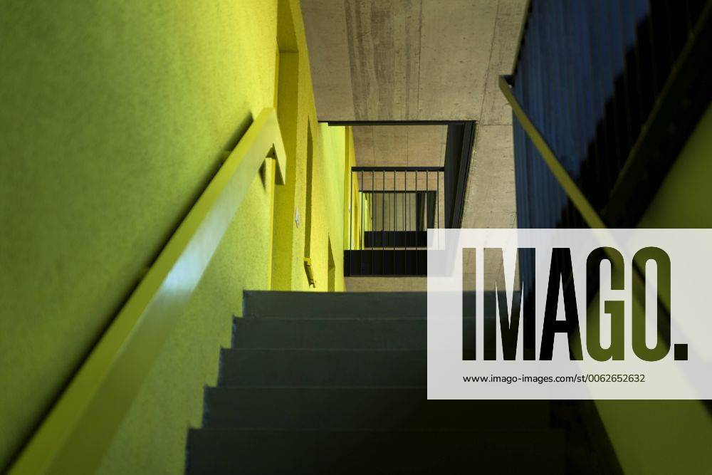 Stair of modern multi-family house