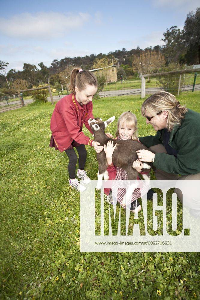 Two Caucasian female children in school uniform and one Caucasian ...