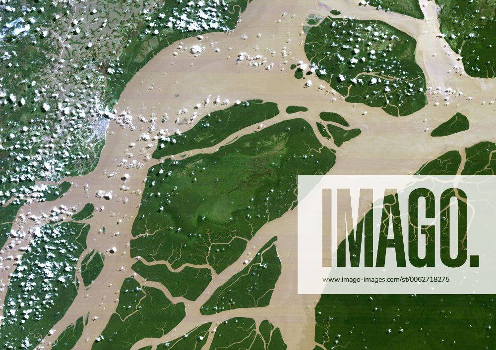 Amazon Delta, Brazil, True Colour Satellite Image. True colour ...