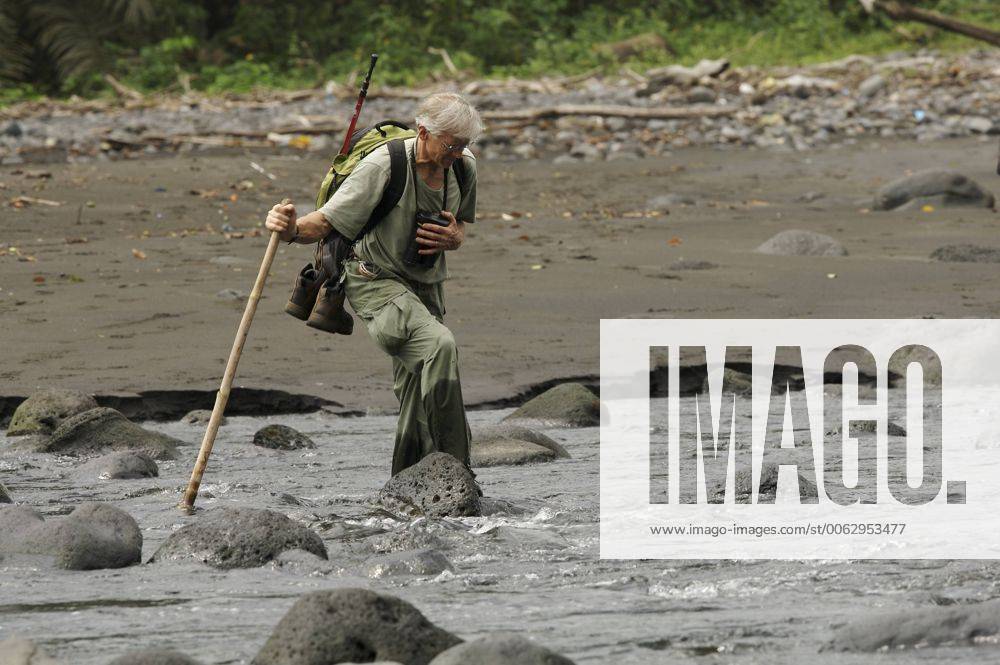 Primatologist, Tom Butynski, wading across the Rio Ole, Bioko Island ...