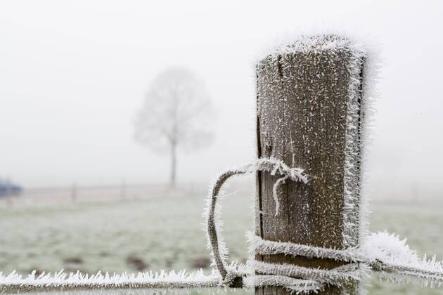Hemsbach Frost, Winter Kaelte, kalt