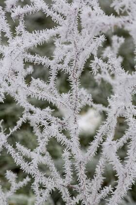 Hemsbach Frost, Winter Kaelte, kalt