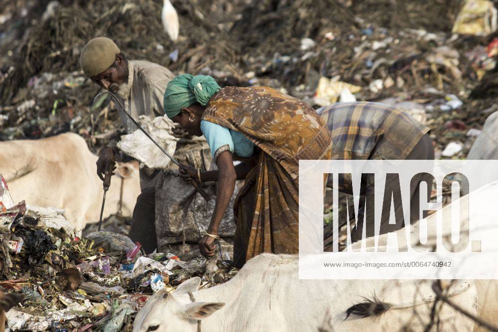 June 5, 2015 - Guwahati, Assam, India - Indian rag-pickers look for ...