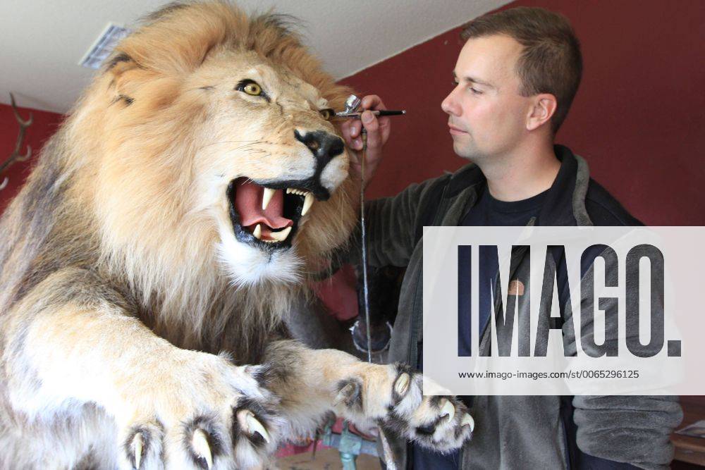 Ein außergewöhnlicher Auftrag: Der staatlich geprüfte Tierpräparator ...