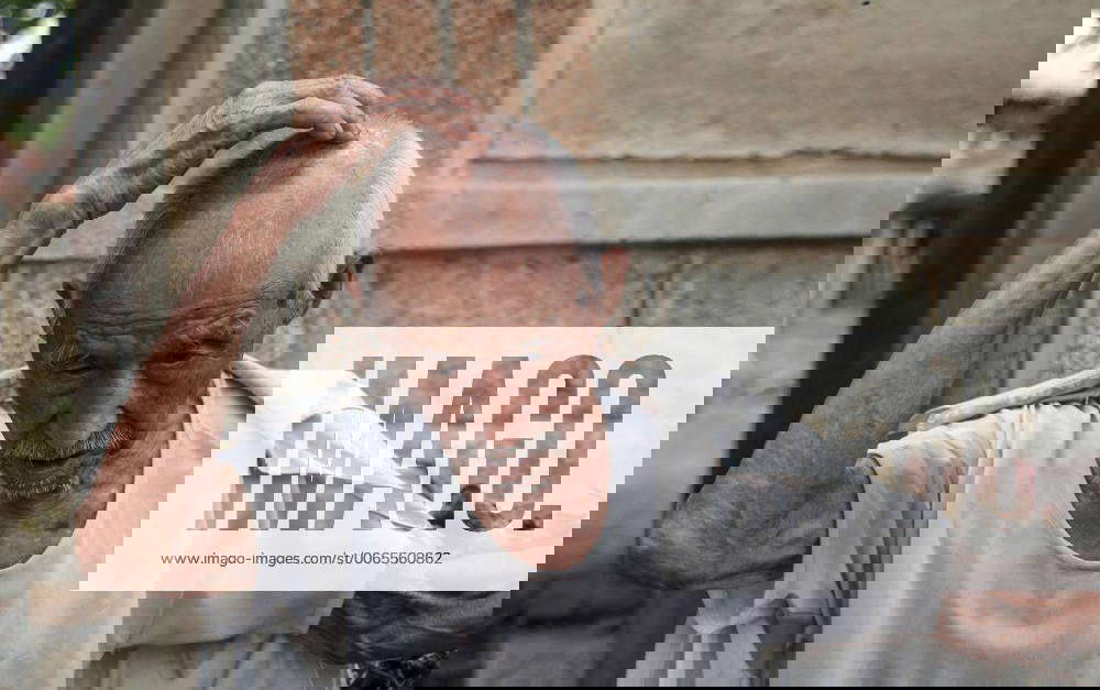 July 23, 2015 - CHN - CHINA - July 23 2015: (. CHINA OUT) Lin Xuemei ...