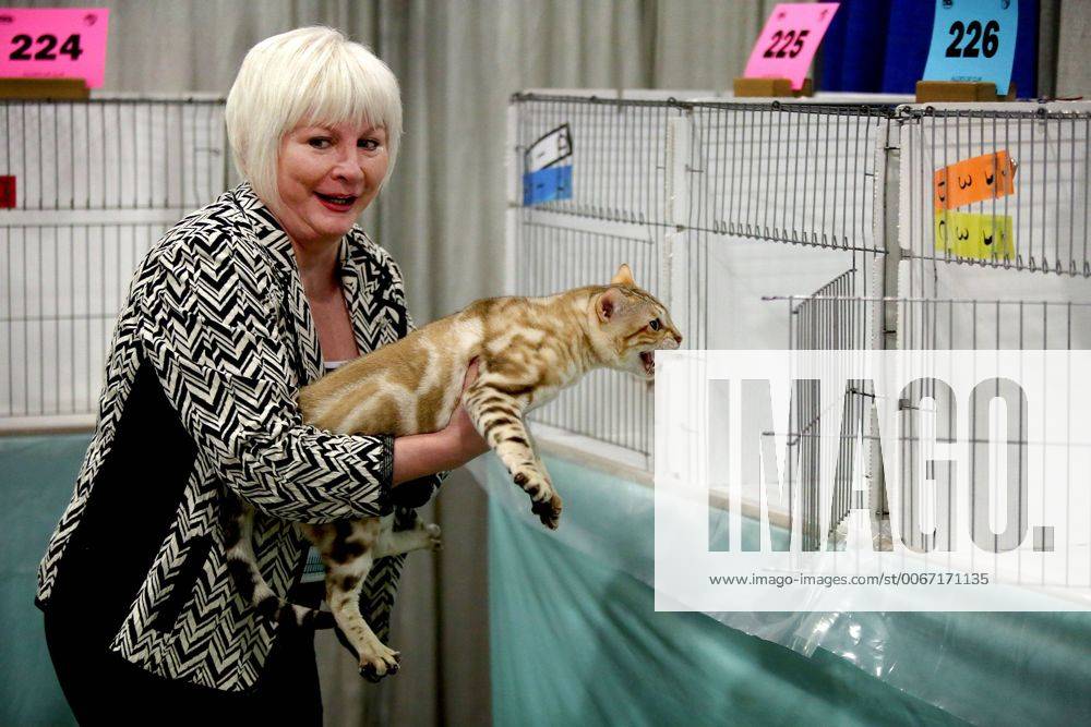 March 8, 2014 - Miami, Florida, U.S. - Judge Barbara Ray, of Birmingham ...