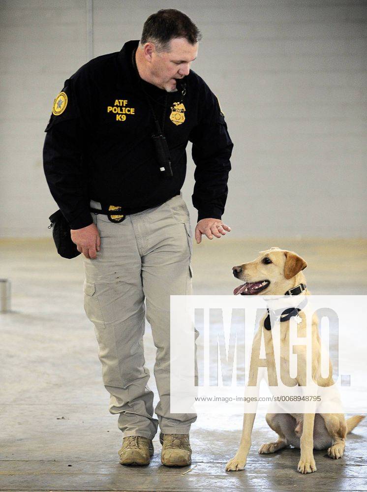 Jan. 26, 2016 - Fort Worth, TX, USA - ATF Agent Dan Kaase works with ...