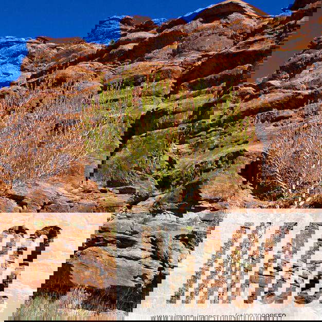 March 24, 2016 - Moab, Utah, U.S. - Early morning light illumines the ...