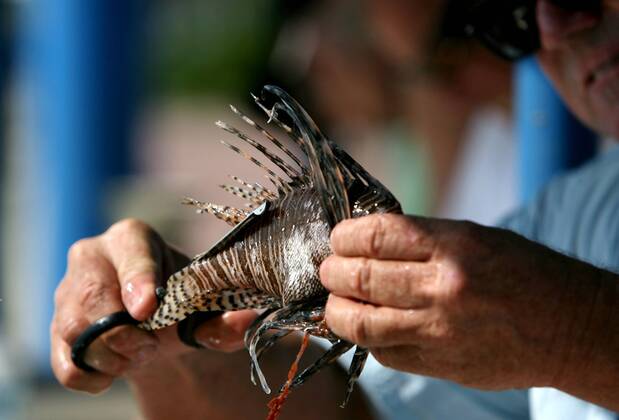 Aug. 13, 2011 - Palm Beach Shores, Florida, U.S. - -- Palm Beach Shores ...