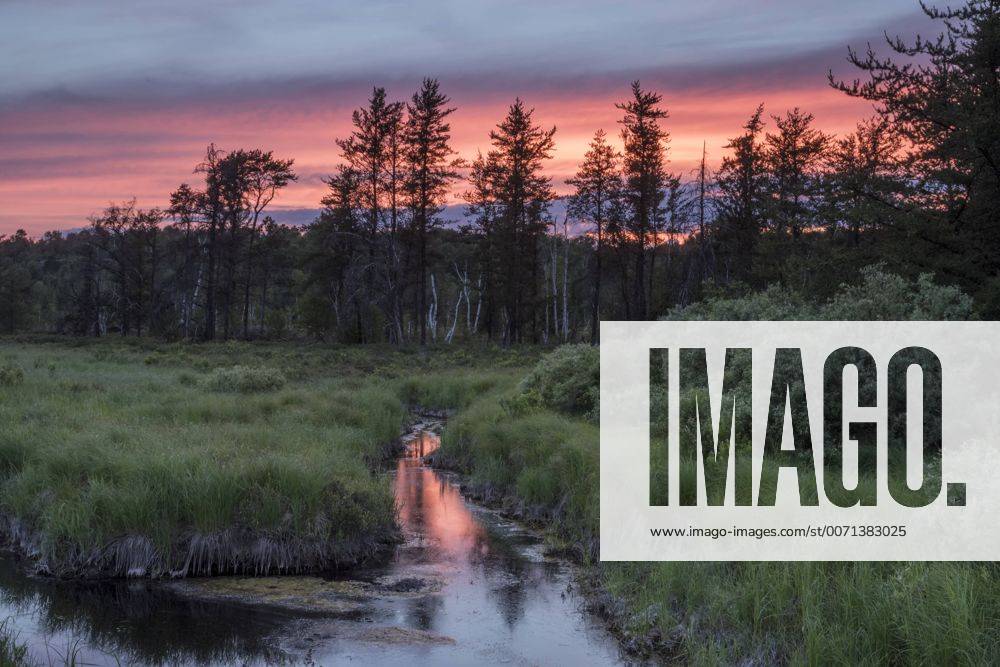 Sunset over wetland, Sudbury, Ontario, Canada acp