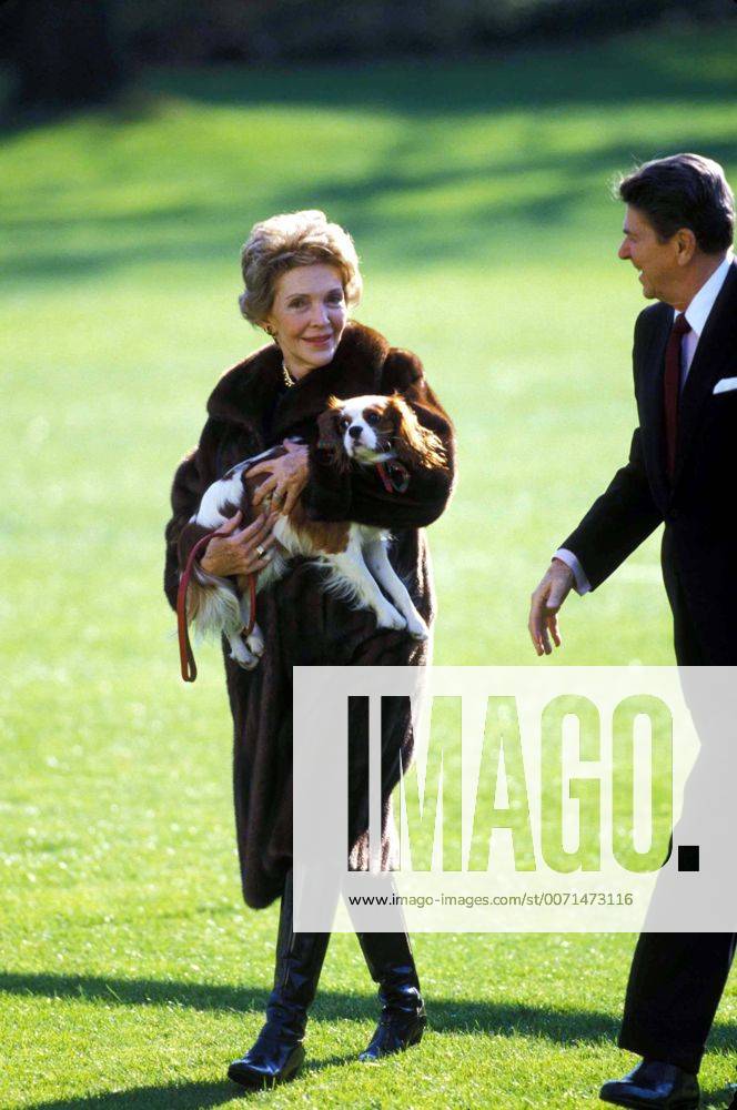 IMAGO - Images & Videos for Media, Sports & Brand.