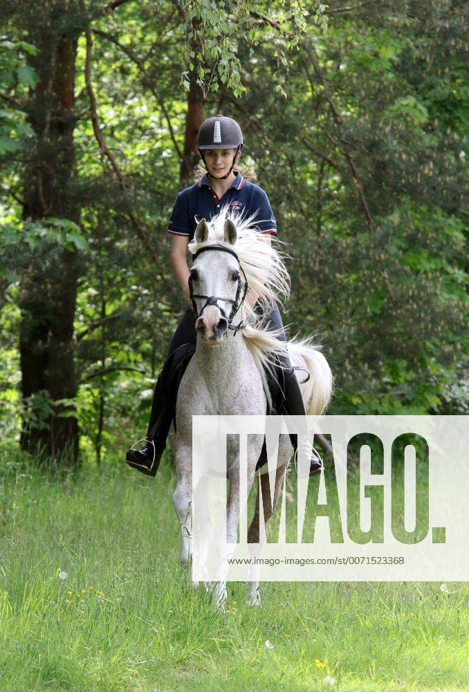 21.05.2016, Neuenhagen, Brandenburg, GER - Junge Frau reitet auf ihrem Araber im Galopp ueber eine