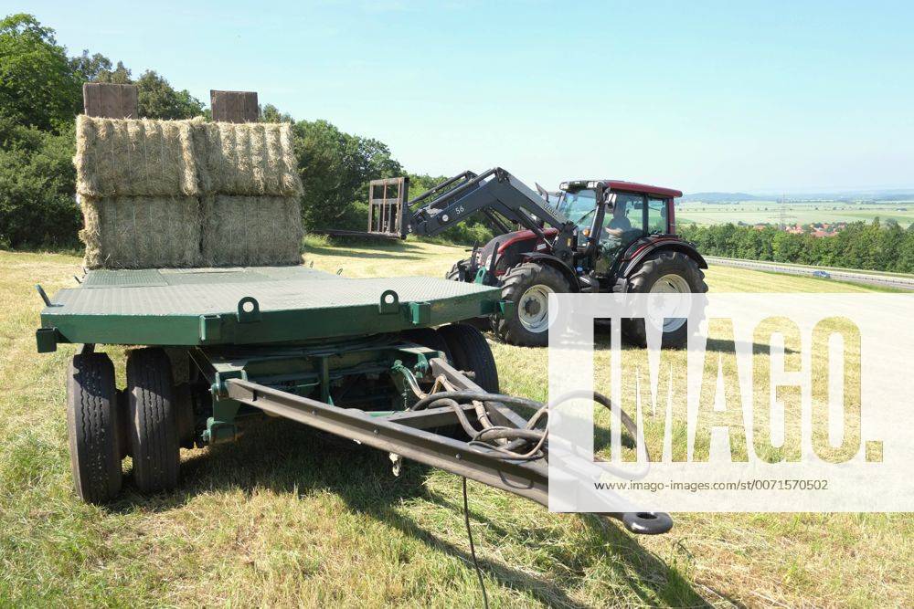Landwirt aus Goslar läd Quaderballen mit Heu an einem Hang bei Bad ...