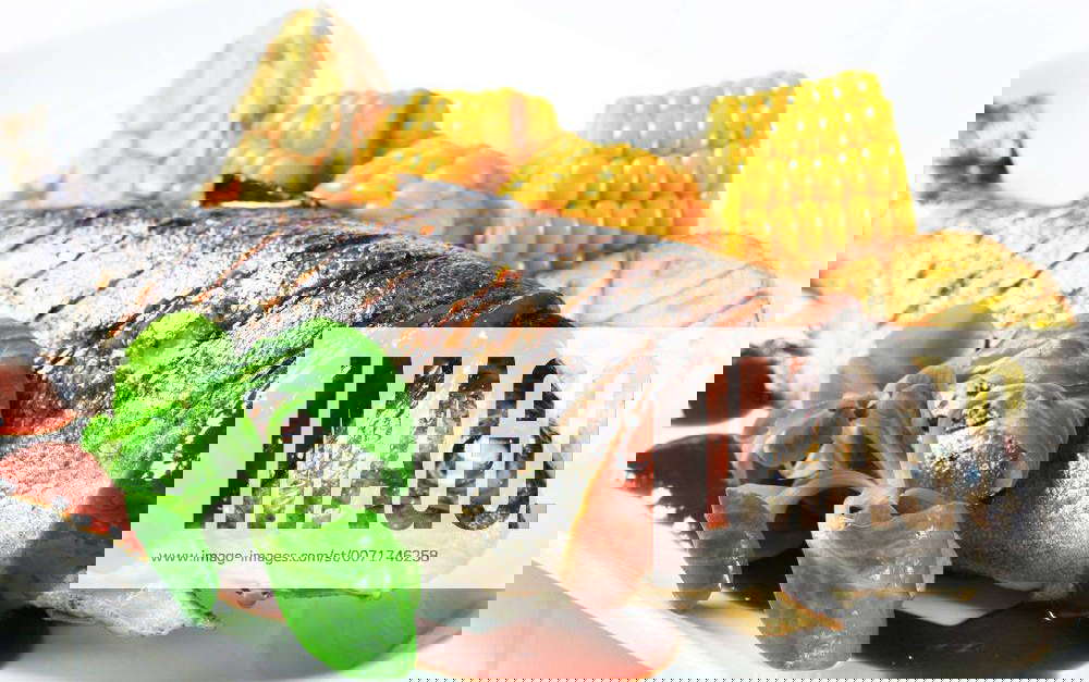 Grilled trout garnished with sweet corn and garlic Grilled trout ...