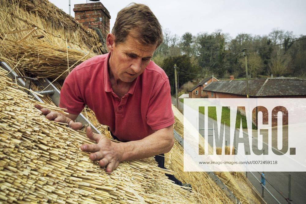 Man thatching a roof, layering the straw. Man thatching a roof ...