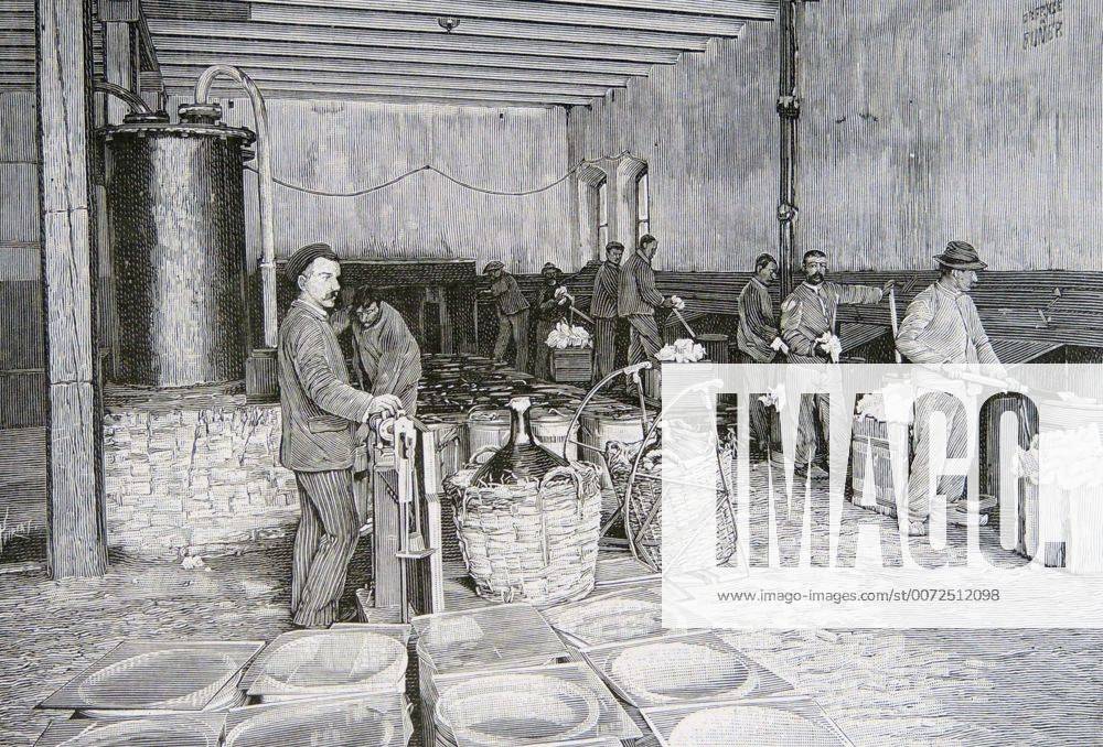 Chardonnet silk - Rayon - the first commercially produced man-made ...