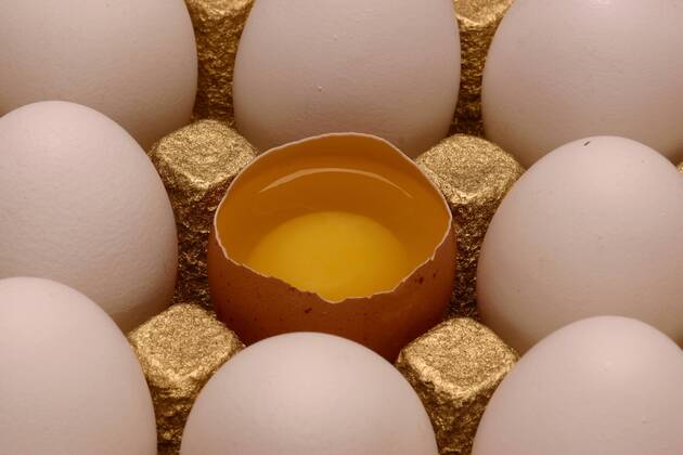 Ibirapuera Park, Obelisco, Sao Paulo, Brazil