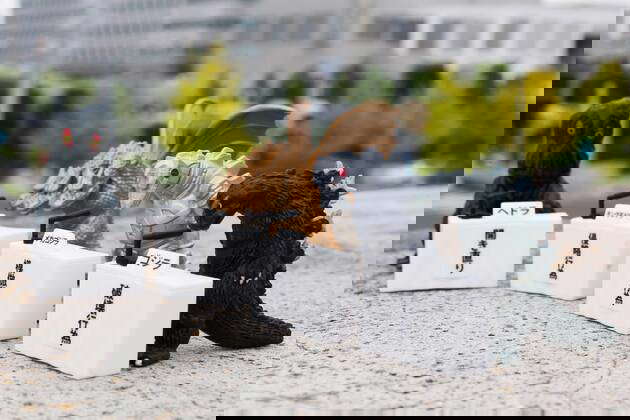 Capsule toy models of characters from the Godzilla movies bow in deep ...