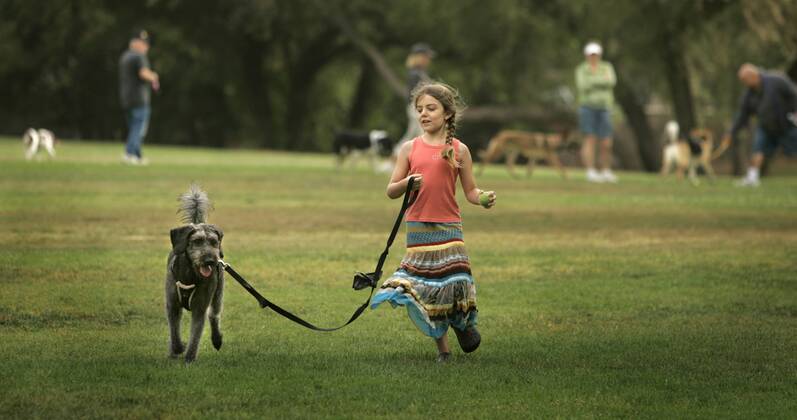 HLdogsPark297499x004 5 18 2009 SANTEE USA_ Ron Daugherty of Santee pets ...