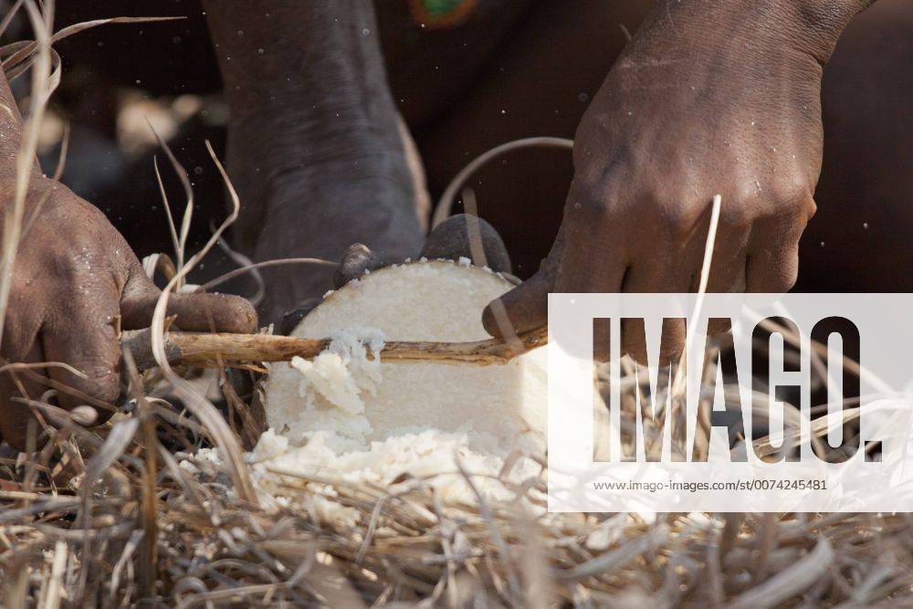 Africa, Namibia, Bushmanland, Nhoma. A Bushman hunter s hands scraping ...