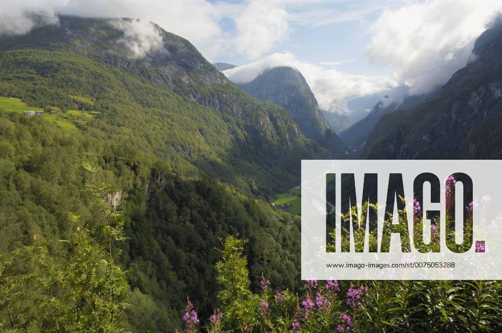 View from Stalheim, Naeroydalen valley, Norway, Scandinavia, Europe