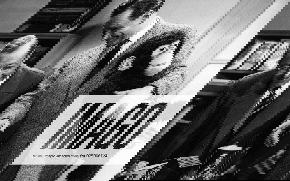 Das kann jedem passieren, (DAS KANN JEDEM PASSIEREN) D 1952, Regie ...