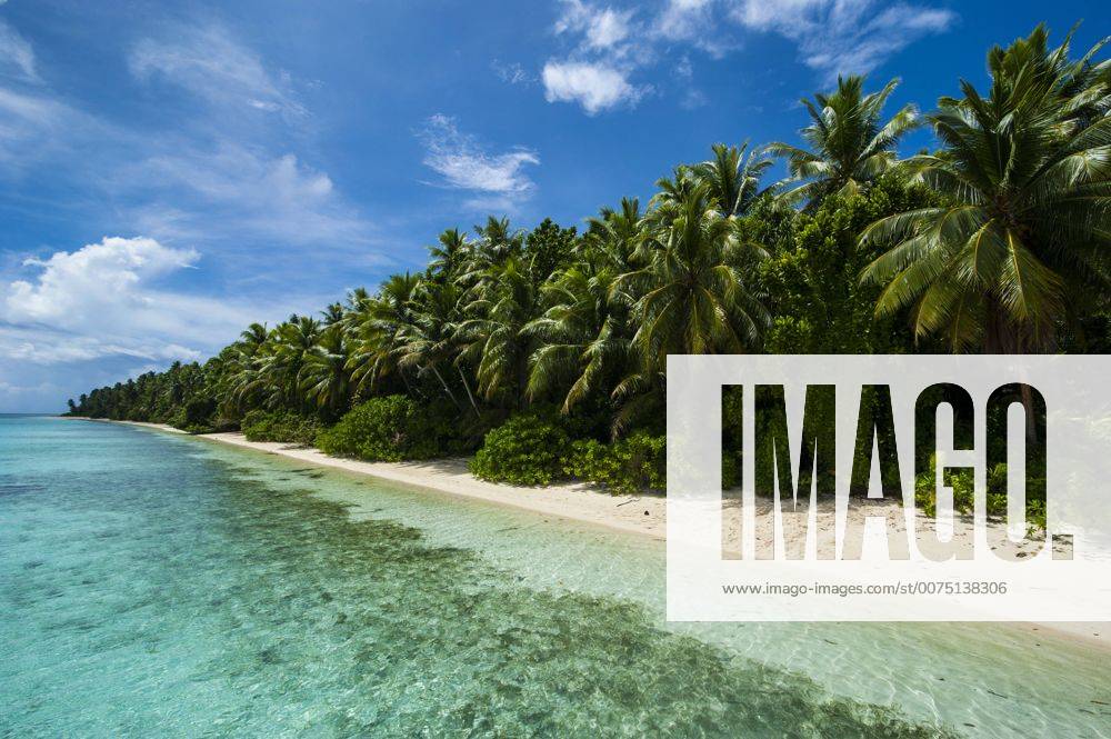 Paradise white sand beach and turquoise water on Ant Atoll, Pohnpei ...