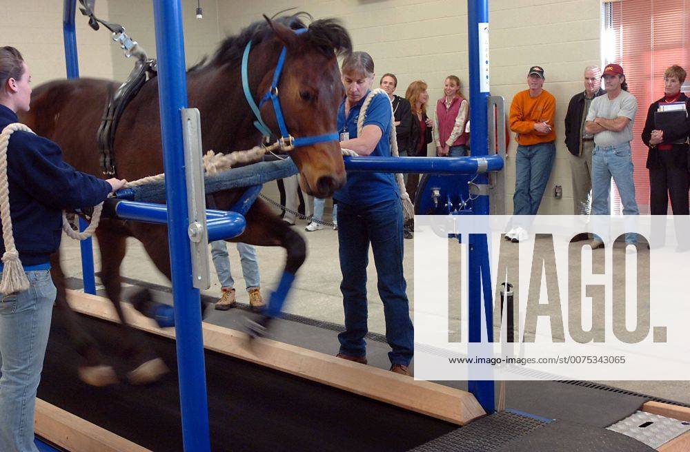 Judy Sharp, center, supervises a performance test on a thoroughbred ...
