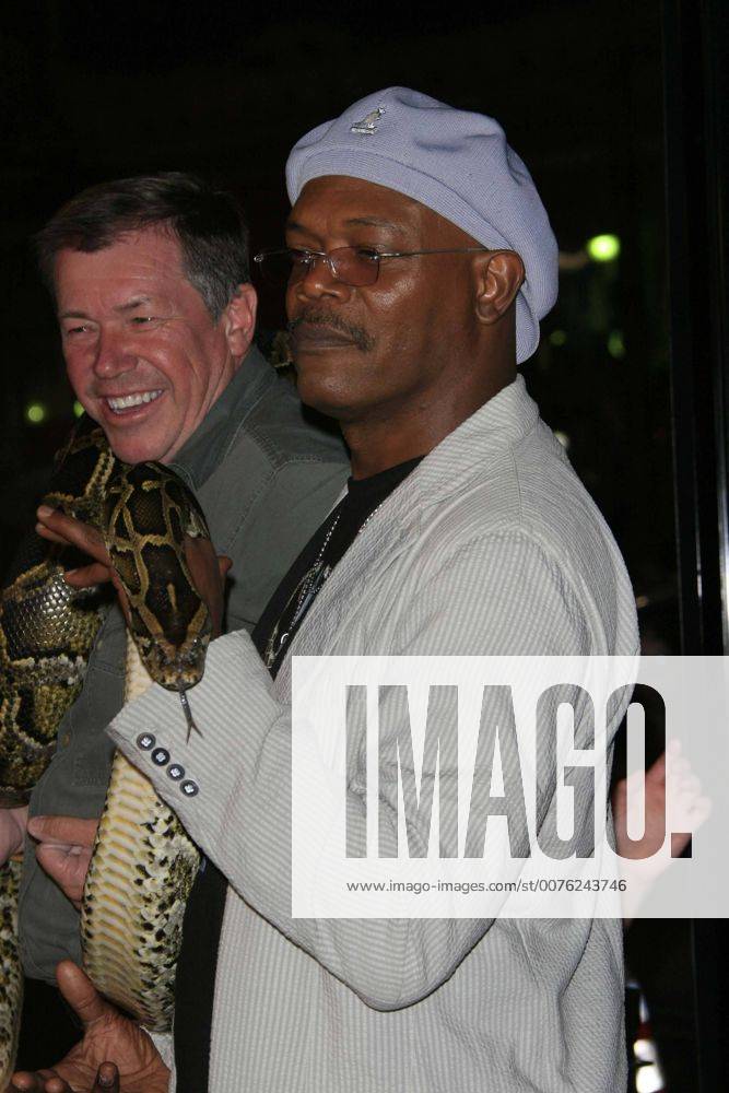 Aug. 17, 2006 - Hollywood, CALIFORNIA, USA - SAMUEL L JACKSON -.SNAKES ...