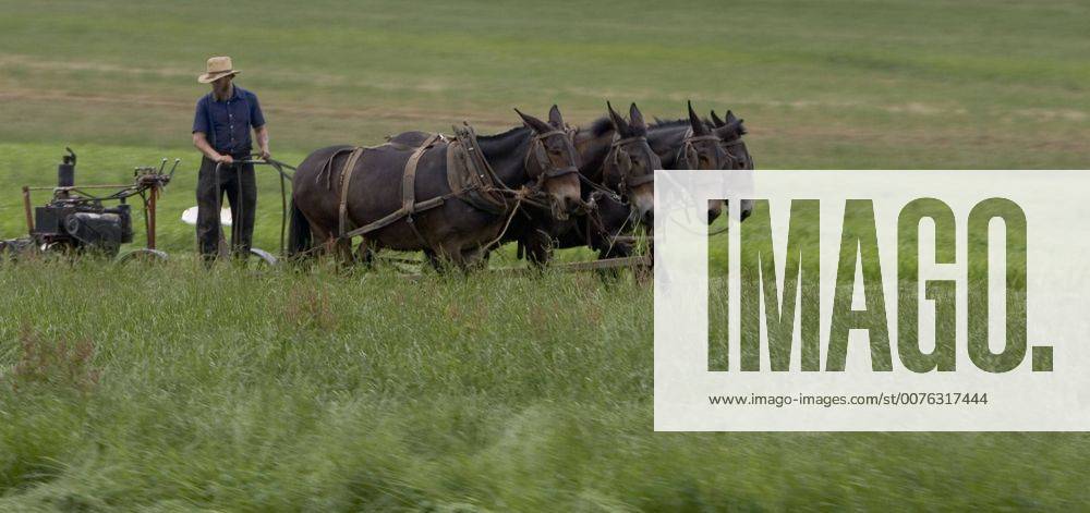 Oct 04, 2006; Lancaster, PA, USA; Charles Carl Roberts IV, a milk truck ...