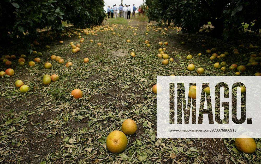 Oct 31, 2005; Hobe Sound, FL, USA; Congressman Mark Foley and Senator ...