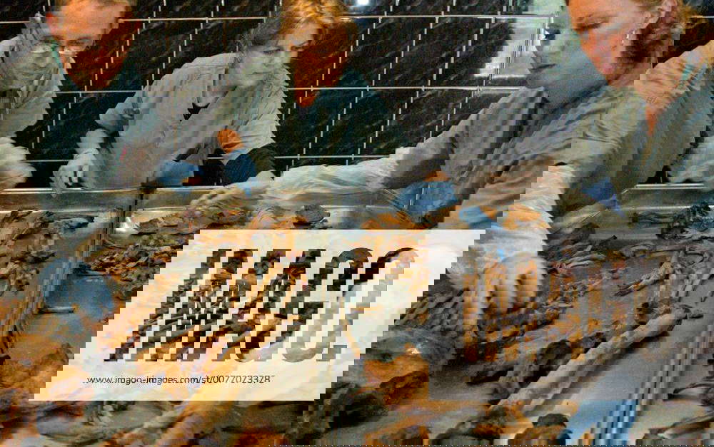 July 7, 2005 - U.S. - KRT WORLD NEWS STORY SLUGGED: BOSNIA-DNA KRT ...