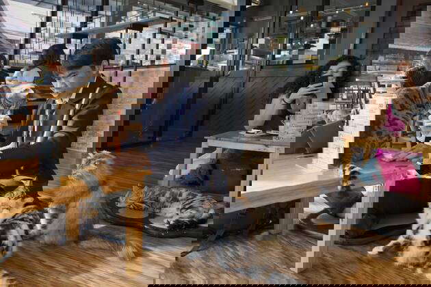 Thailand, Chiang Rai, 27-01-2017 The perfect coffee shop for cat lovers ...