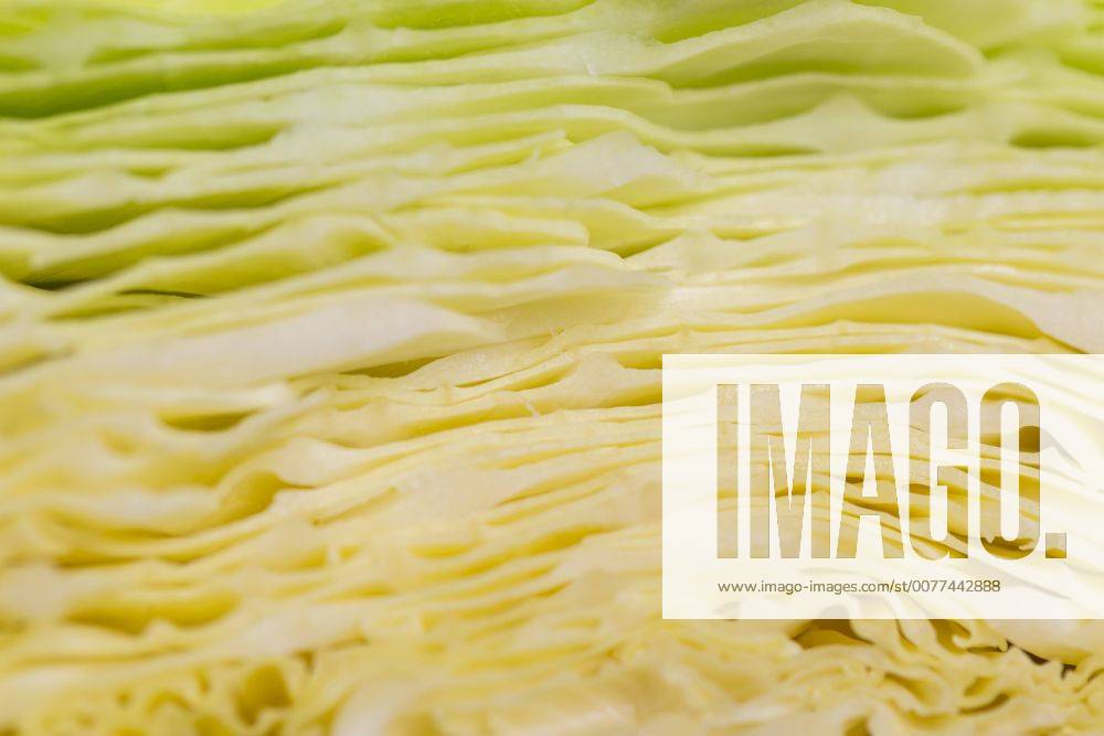 Sliced cabbage, detail
