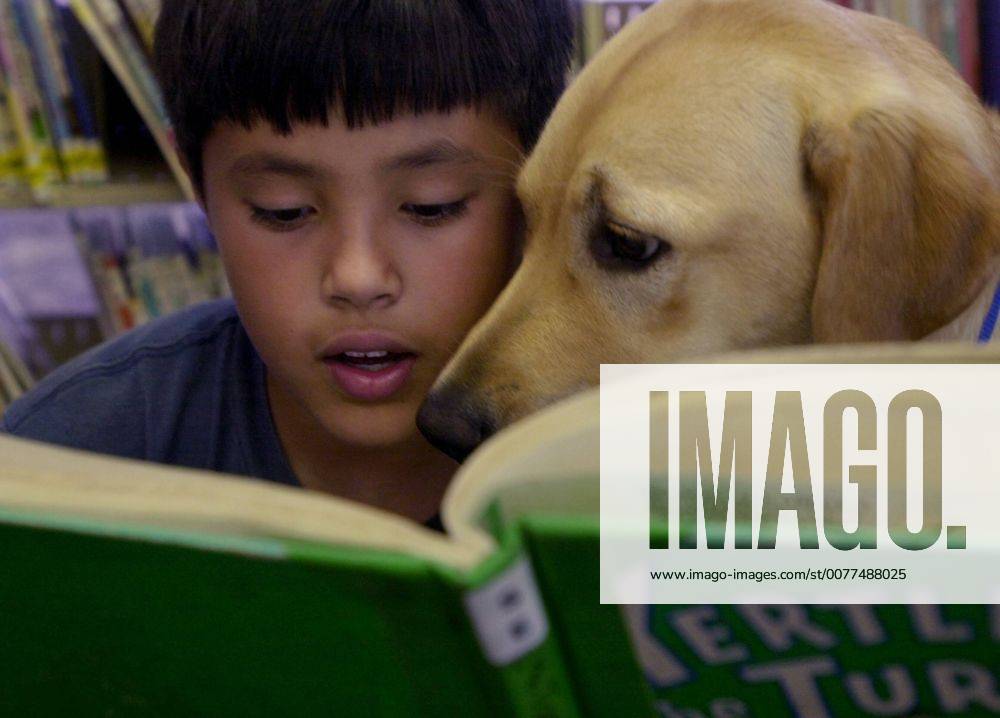 Richard Bates, 10, reads to Calais, at the Orangevale Library, The ...