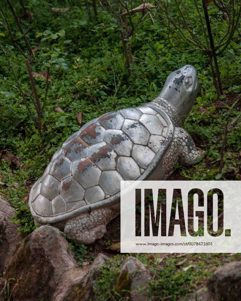 Chiang Mai, Thailand - Sculptures of turtles, considered spiritual by ...