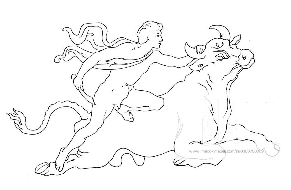 MITHRAS Drawing of the bas-relief of Mithras killing the Bull, which is ...