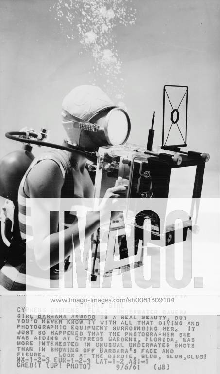 Covered Girl. Cypress Gardens Theme Park: Underwater cameragirl Barbara ...