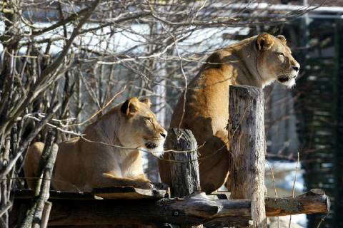 IMAGO - Images & Videos for Media, Sports & Brand.