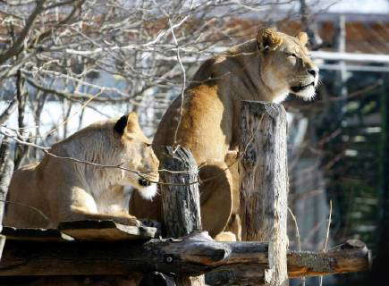 IMAGO - Images & Videos for Media, Sports & Brand.