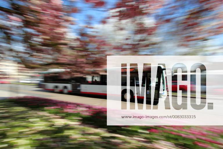 Low-floor bus of the VGO Verkehrsgesellschaft Oberhessen of the RMV ...