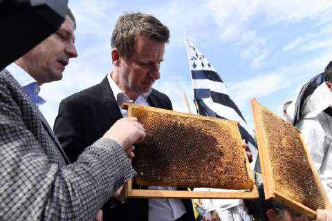 - Angry beekeepers in Paris - 07 06 2018 - France Ile-de-France Paris ...