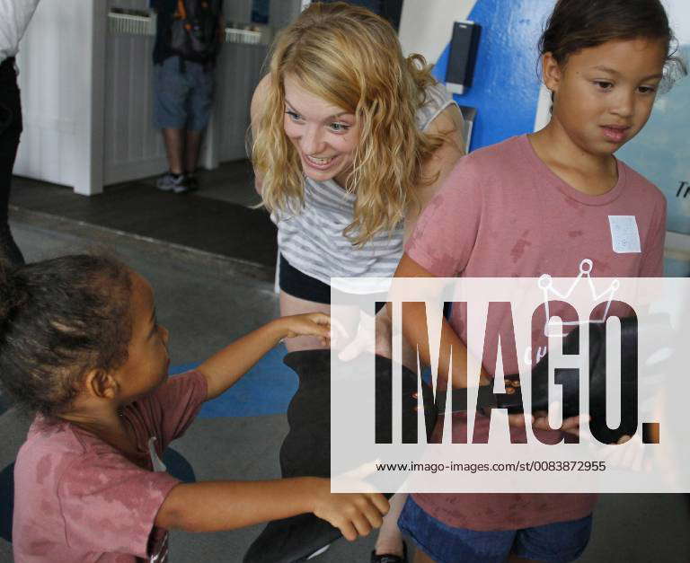 June 17, 2018 - Clearwater, Florida, U.S. - JIM DAMASKE Times.Shark ...