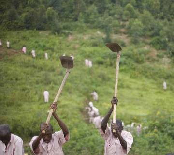 Prisoners take hoes and head out into fields surrounding Gitarama ...